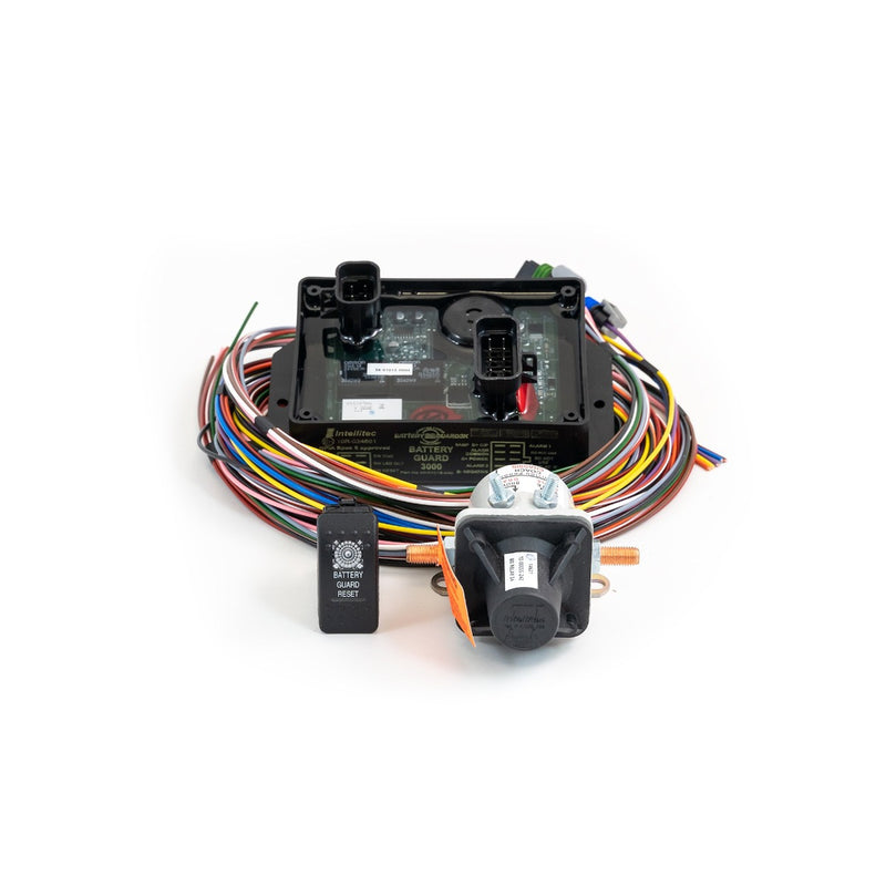 Battery Guard 3000 100A 24V by Intellitec